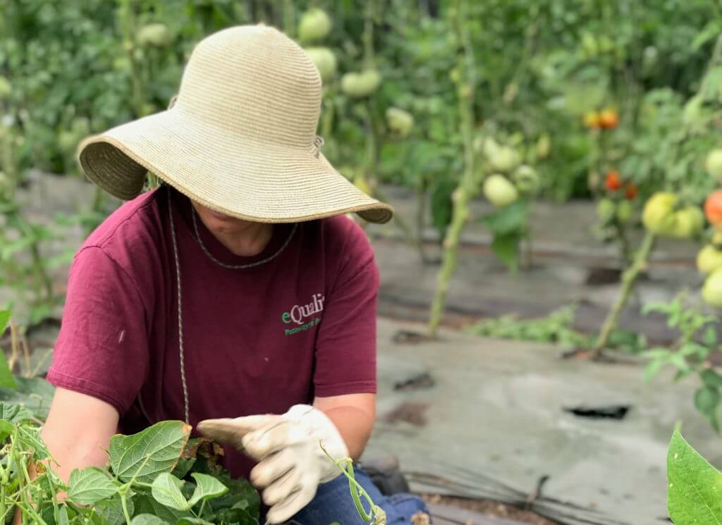 Our Farm - eQuality | Community Supported Agriculture Work Education